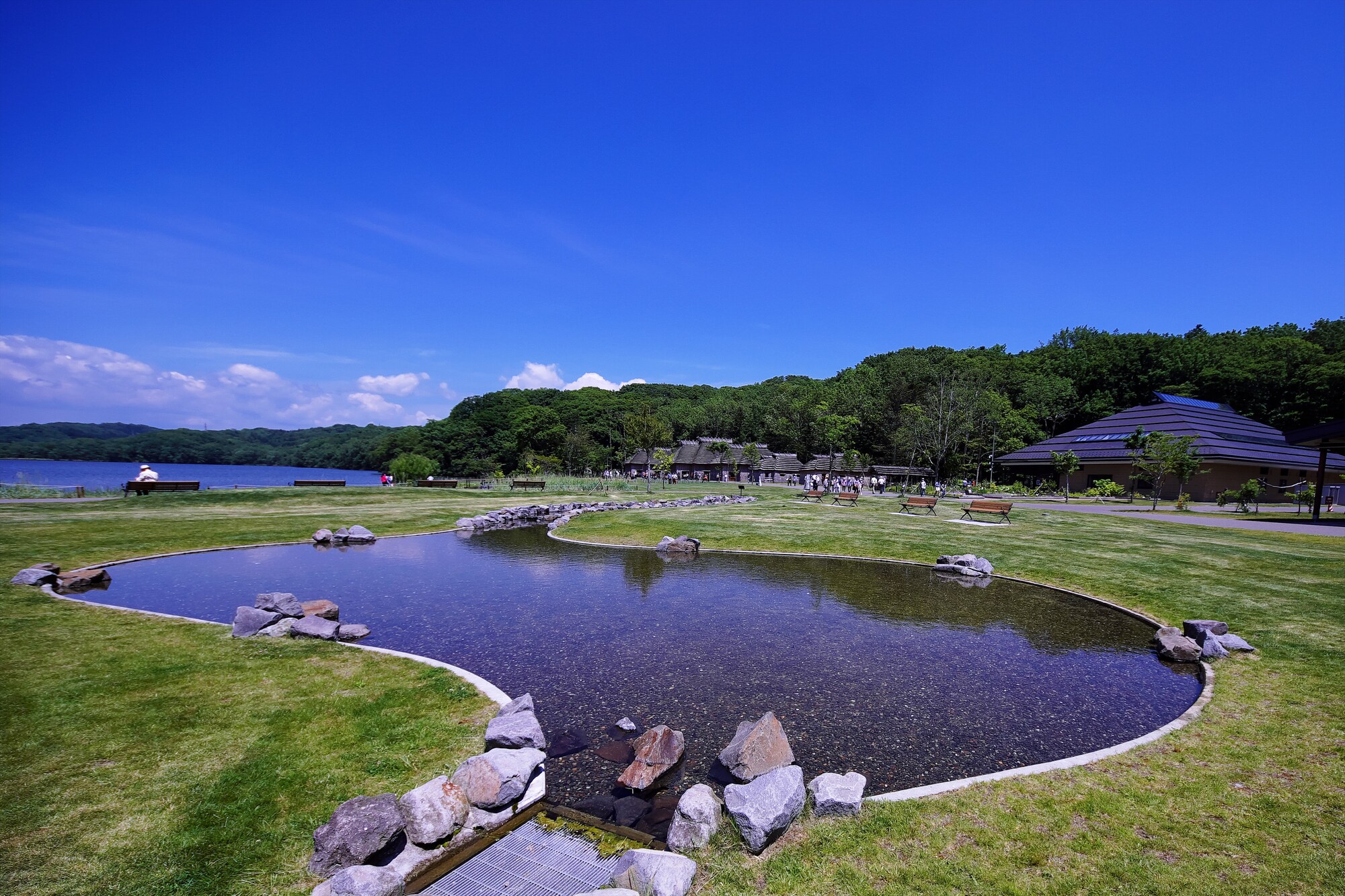 Vivid Japan | 신코츠토야